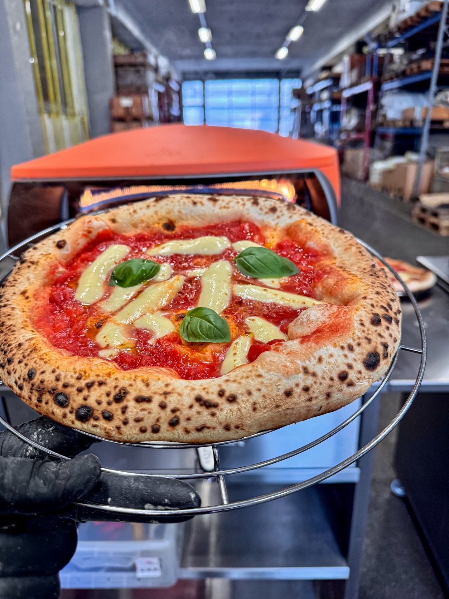 Pizza Margherita Rezept – So gelingt dir die echte neapolitanische Pizza